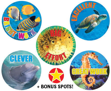 Reward Stickers | Discovery Educational